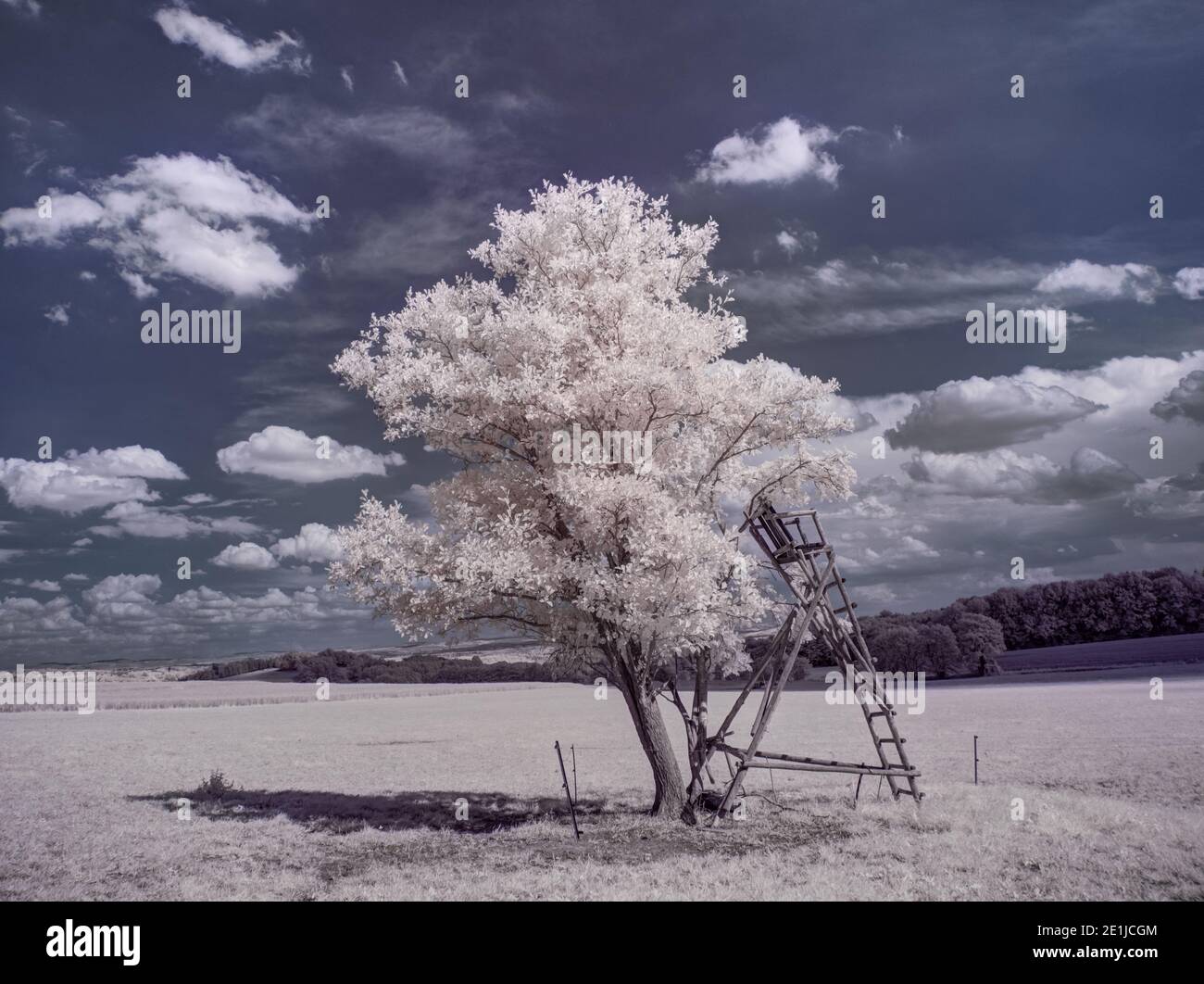 infrared photography - ir photo of landscape with tree under sky with ...