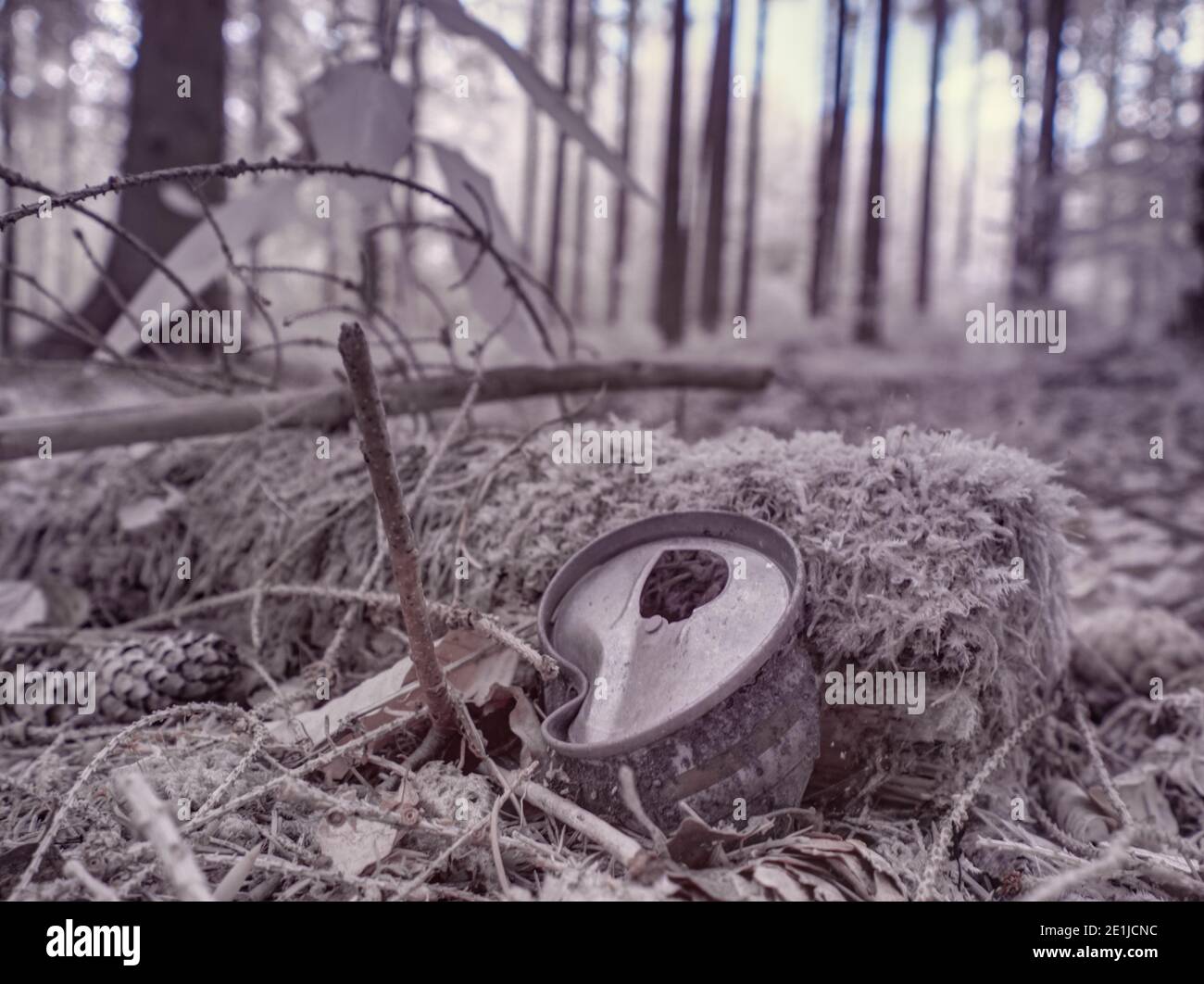 infrared photography - ir photo of landscape with tree under sky with ...