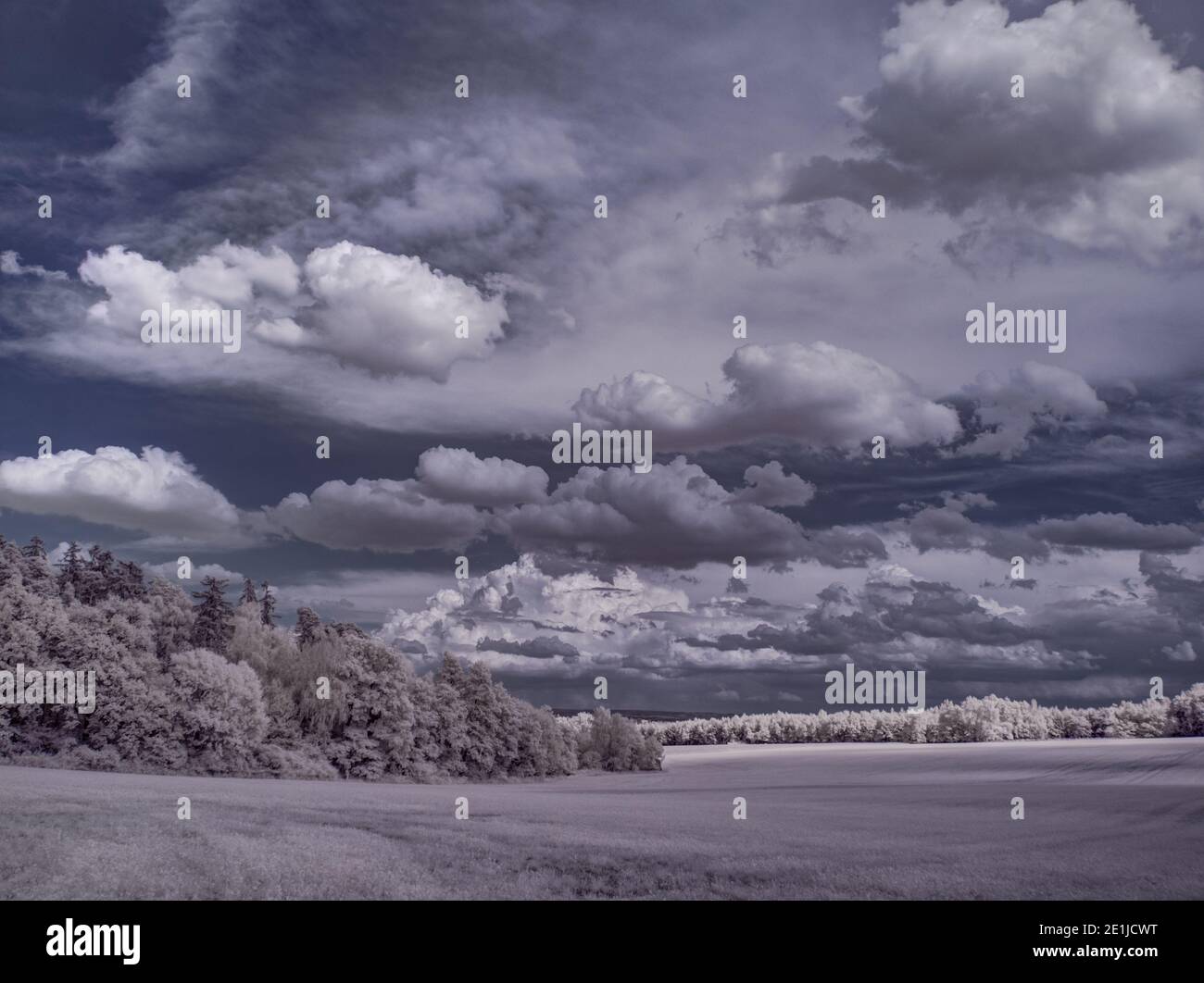 infrared photography - ir photo of landscape with tree under sky with ...