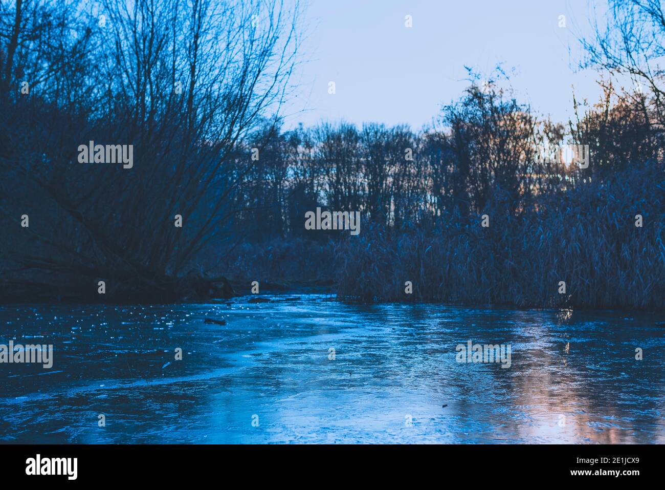 Crack ice lake trees hi-res stock photography and images - Alamy