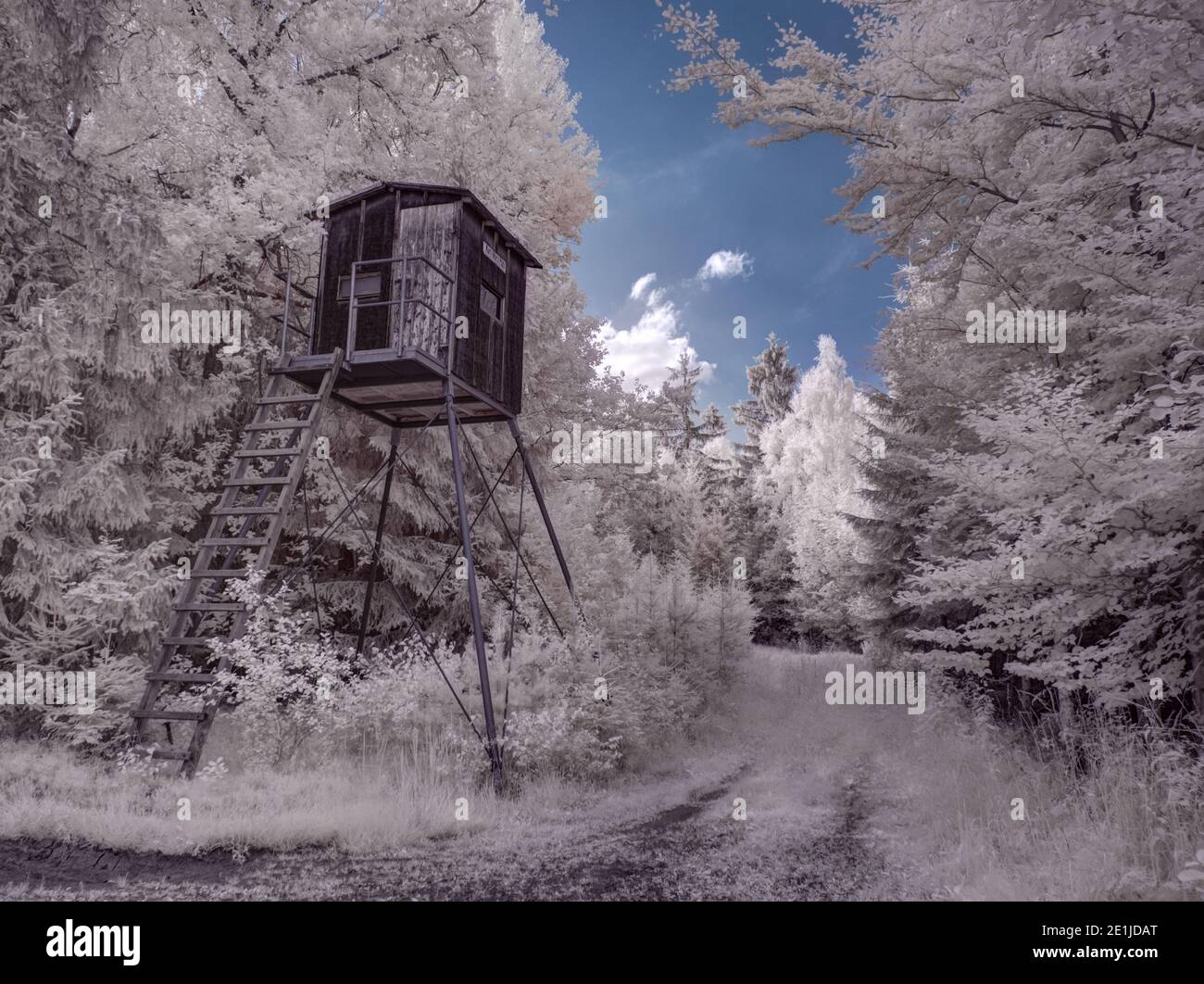 infrared photography - ir photo of landscape with tree under sky with ...