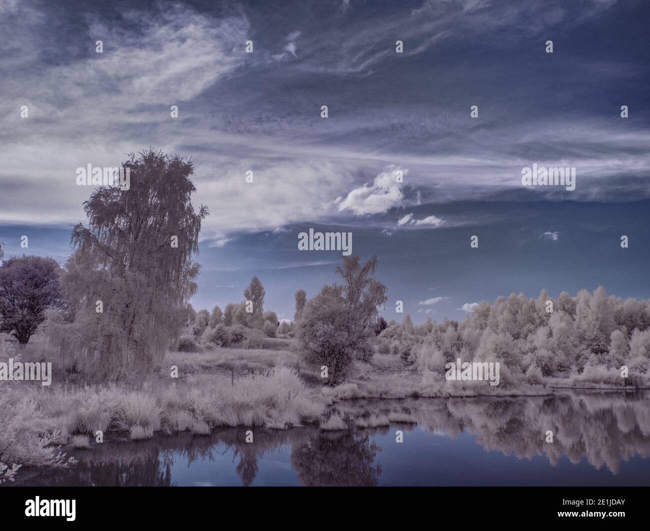 infrared photography - ir photo of landscape with tree under sky with ...