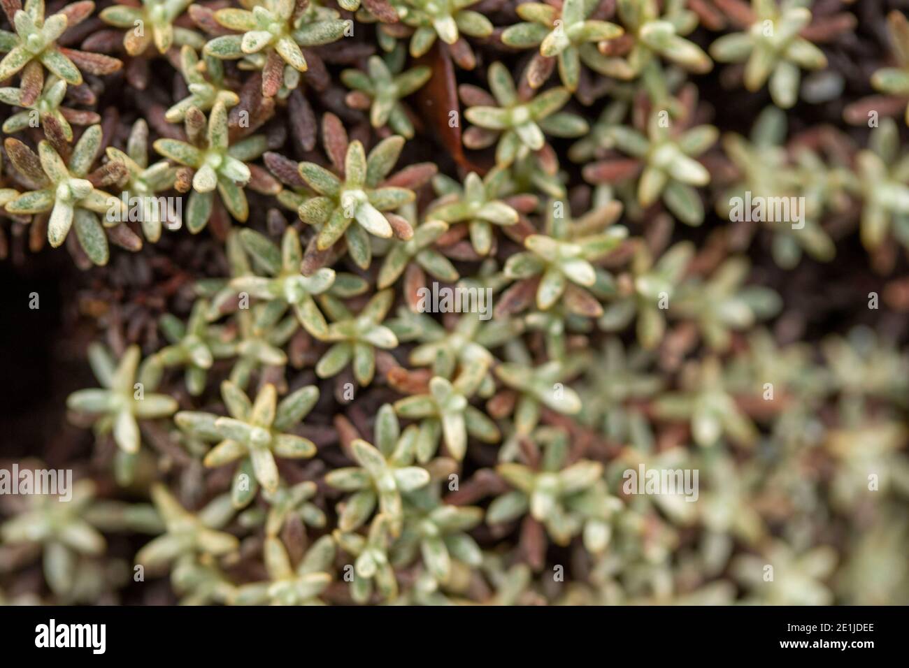 Transverse ranges hi-res stock photography and images - Alamy