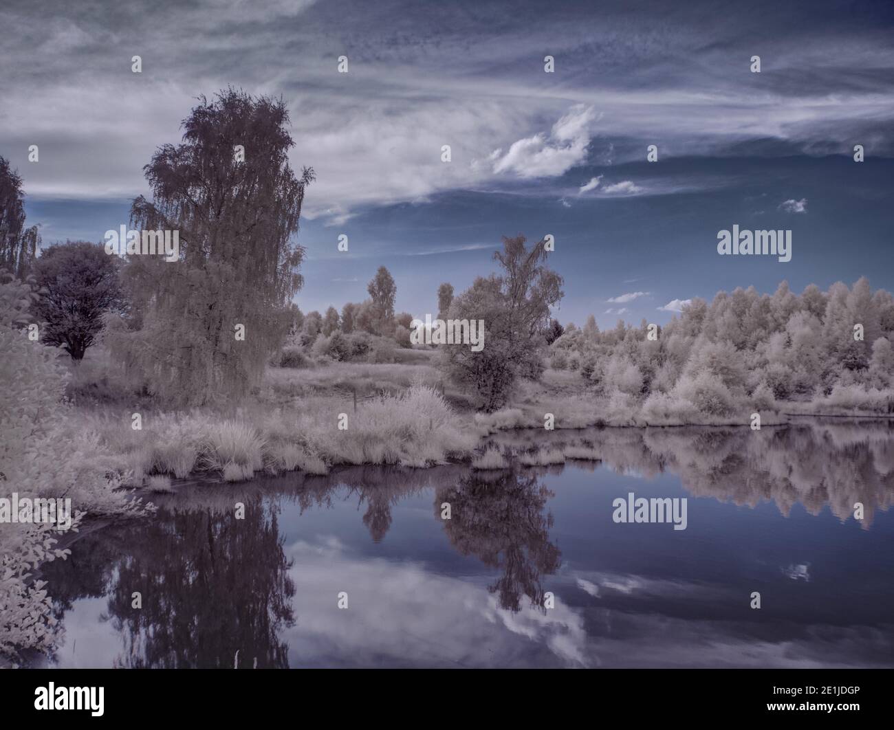 infrared photography - ir photo of landscape with tree under sky with ...