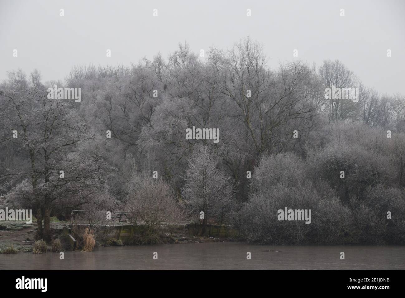 Freezing cold morning at the lakeside with a deep hoar frost coating ...