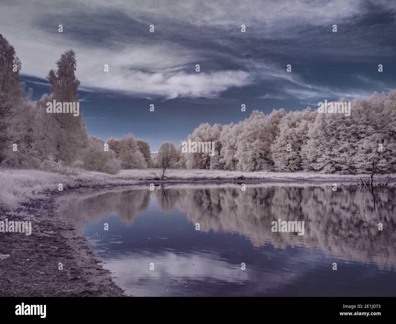 infrared photography - ir photo of landscape with tree under sky with ...