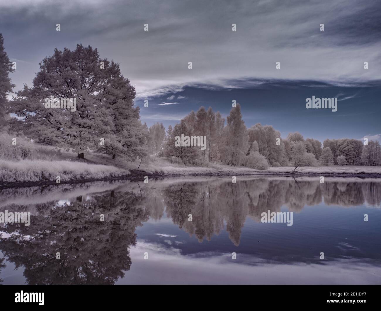 infrared photography - ir photo of landscape with tree under sky with ...