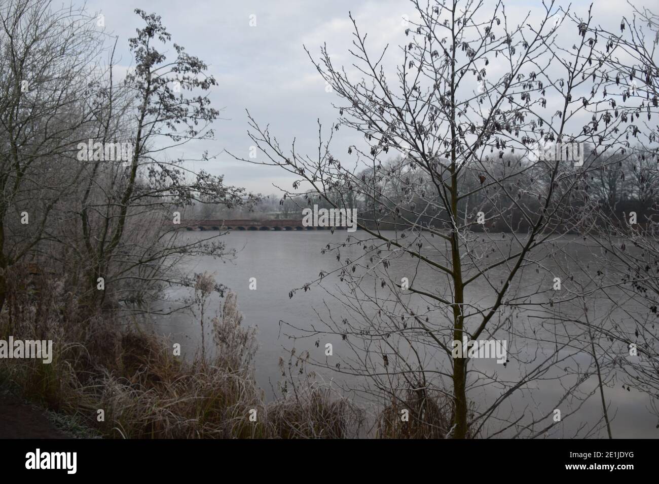 Freezing cold morning at the lakeside with a deep hoar frost coating ...