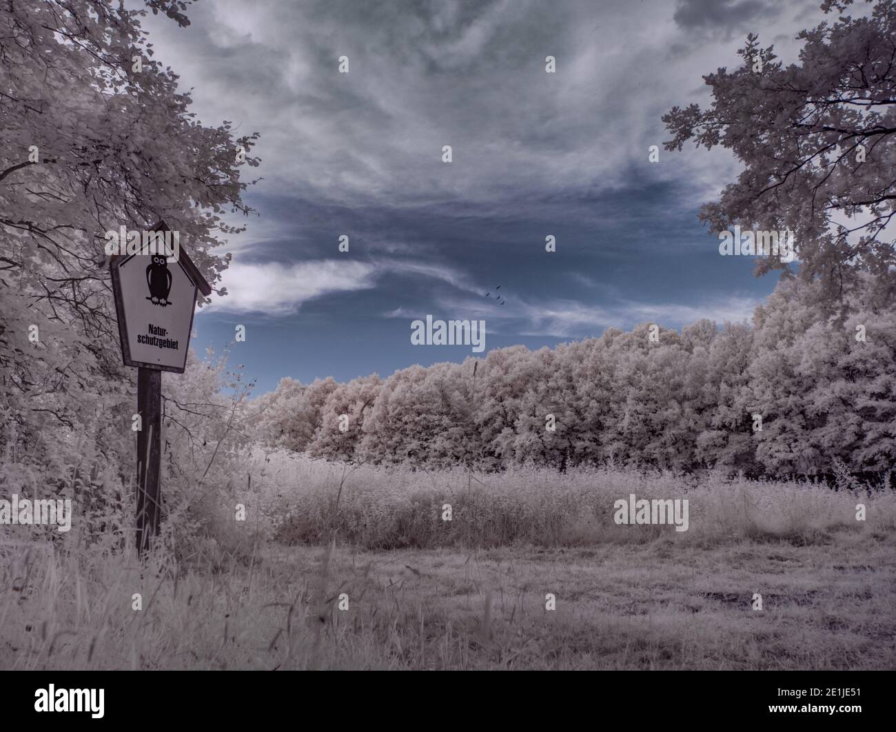 infrared photography - ir photo of landscape with tree under sky with ...