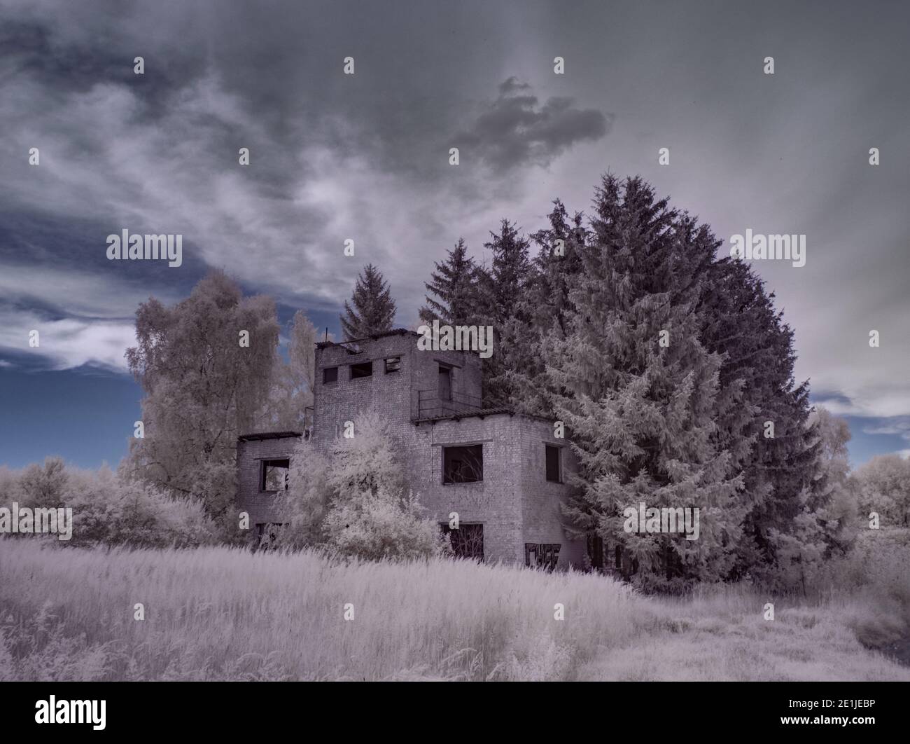 infrared photography - ir photo of landscape with tree under sky with ...
