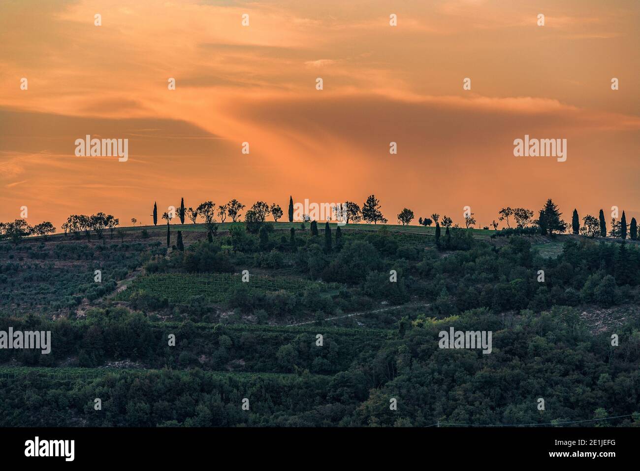 Fasolo hi-res stock photography and images - Alamy