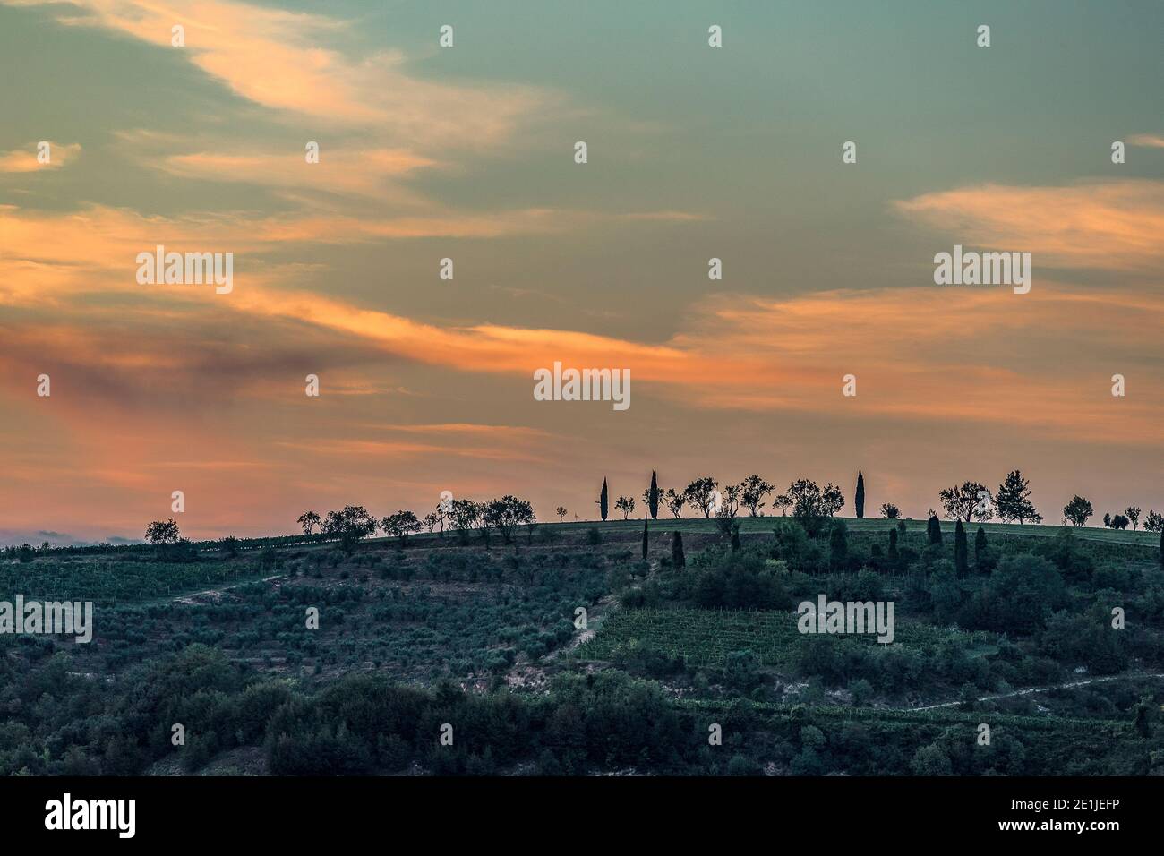 Fasolo hi-res stock photography and images - Alamy