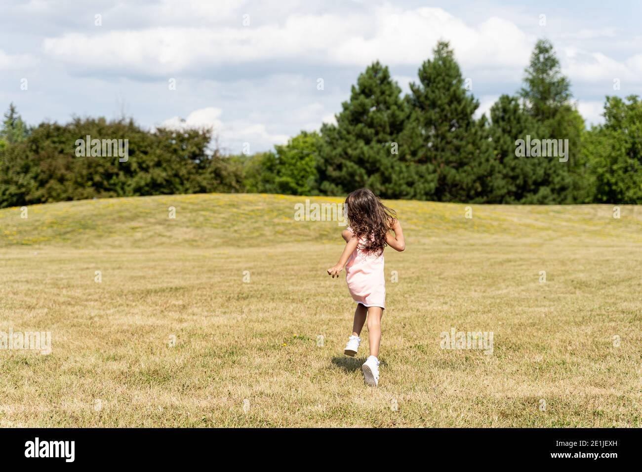 Young girl in pink dress and running in a park seen from behind Stock ...