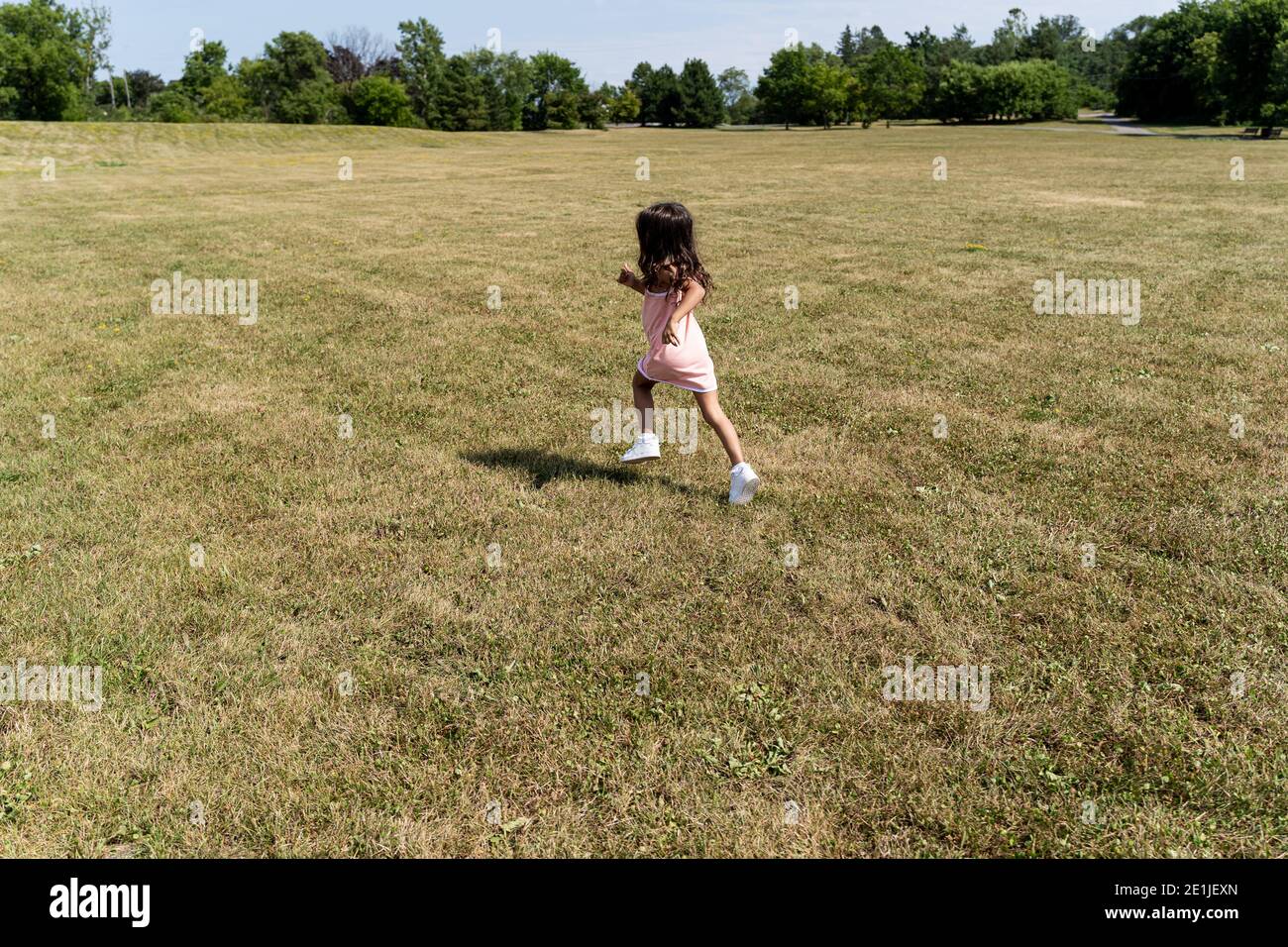 Young girl in pink dress and running in a park seen from behind Stock ...