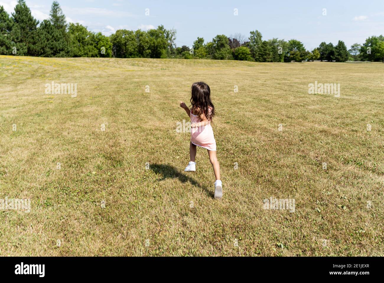 Young girl in pink dress and running in a park seen from behind Stock ...