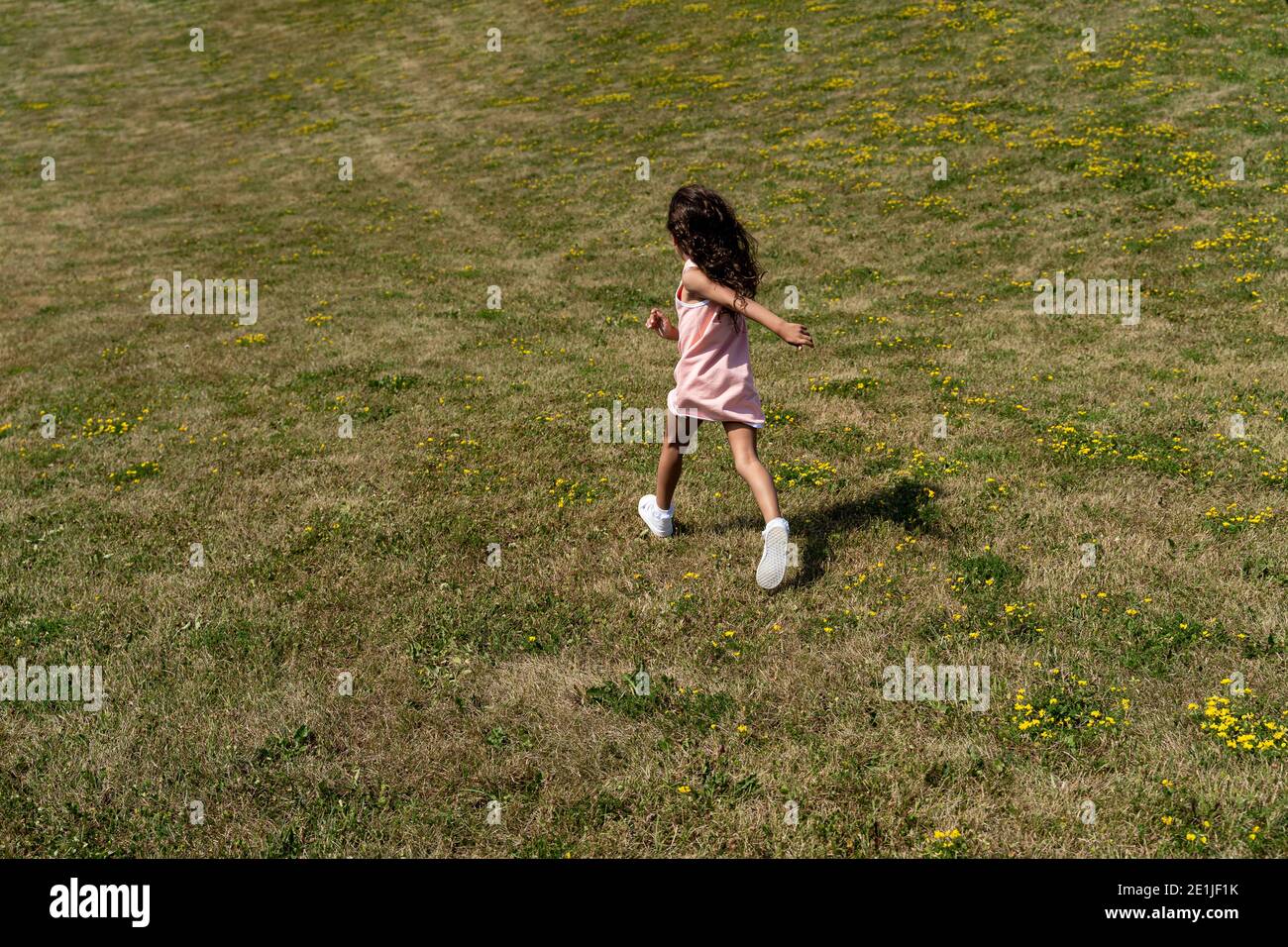 Young girl in pink dress and running in a park seen from behind Stock ...