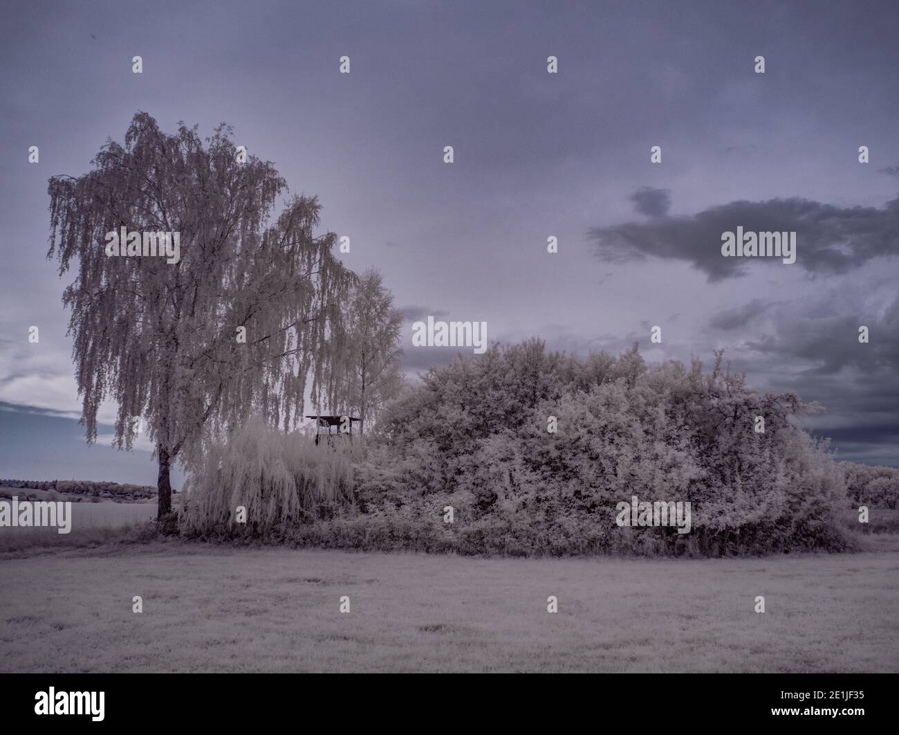 infrared photography - ir photo of landscape with tree under sky with ...