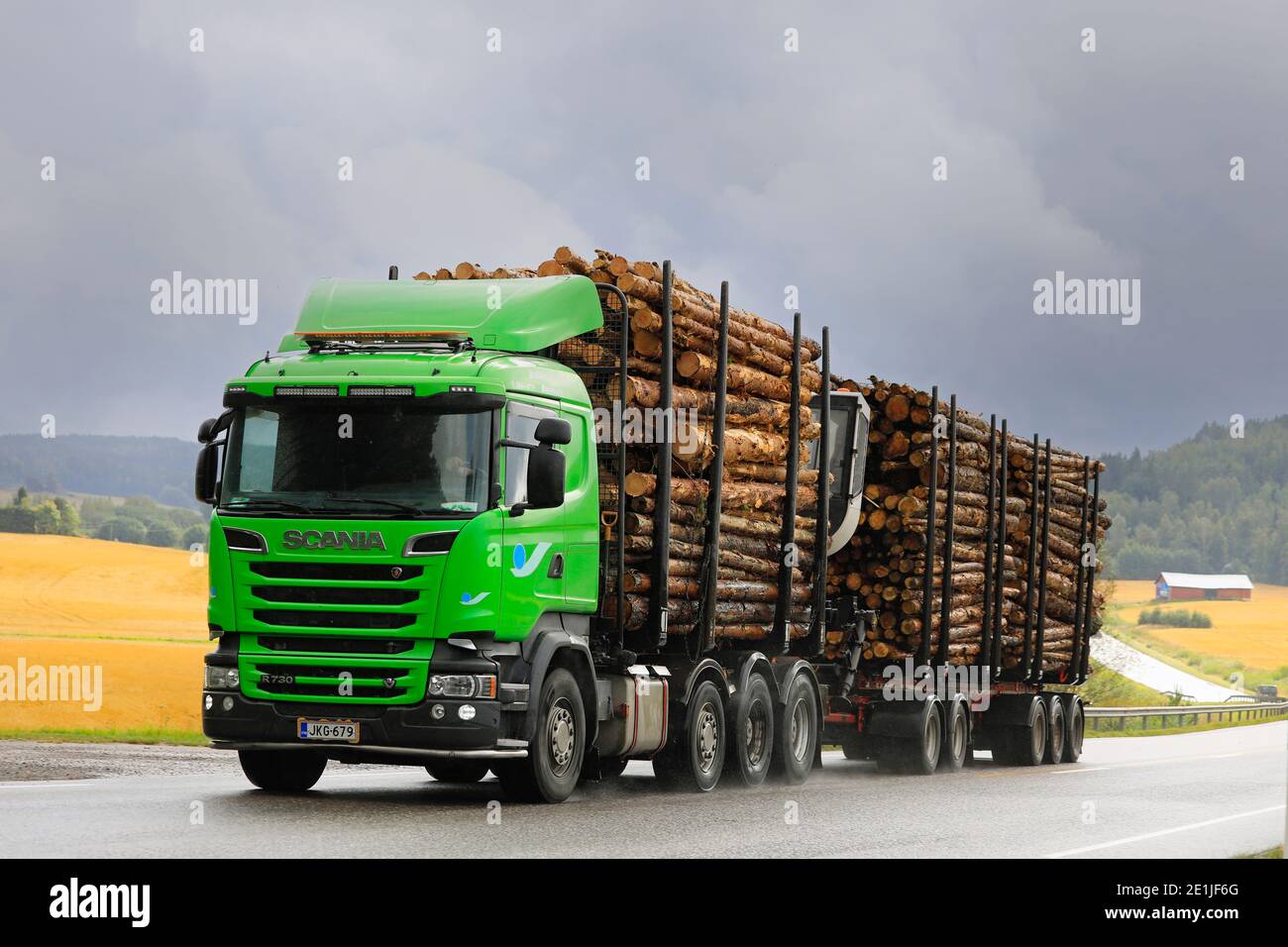 Green Scania R730 truck pulls timber trailer full of pine logs uphill ...