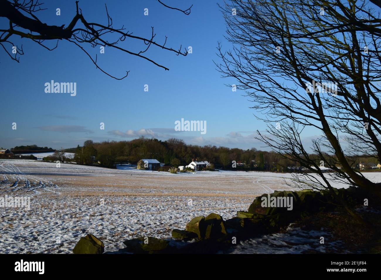 cold winters day, snow on the ground and deep blue sky with winter ...