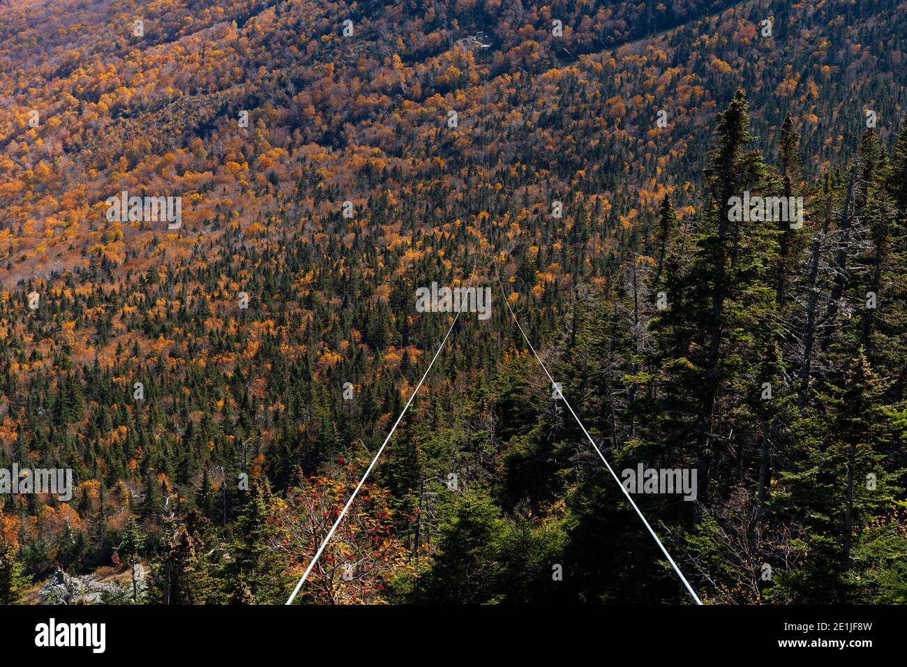 two people sliding down very long and fast zipline during autumn in ...