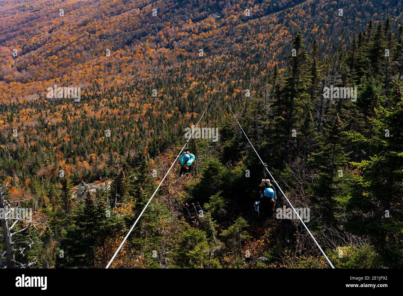 two people sliding down very long and fast zipline during autumn in ...