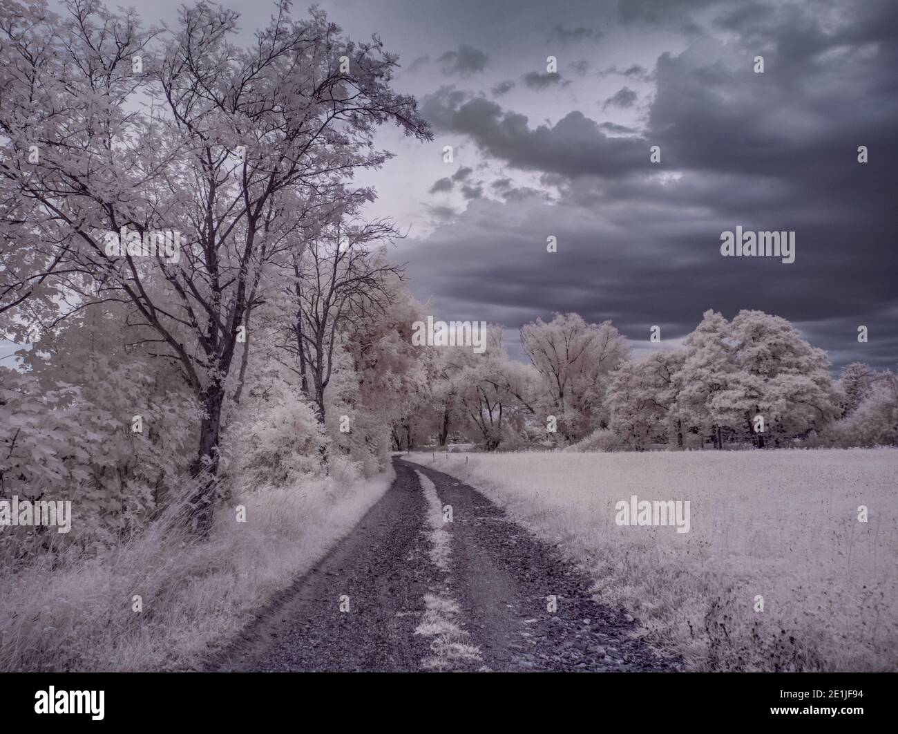 infrared photography - ir photo of landscape with tree under sky with ...