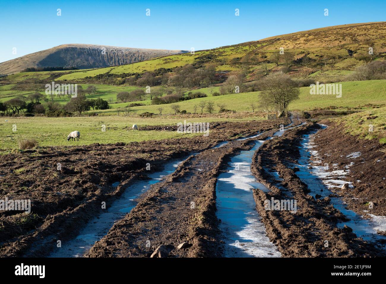 Frozen vehicle hi-res stock photography and images - Alamy