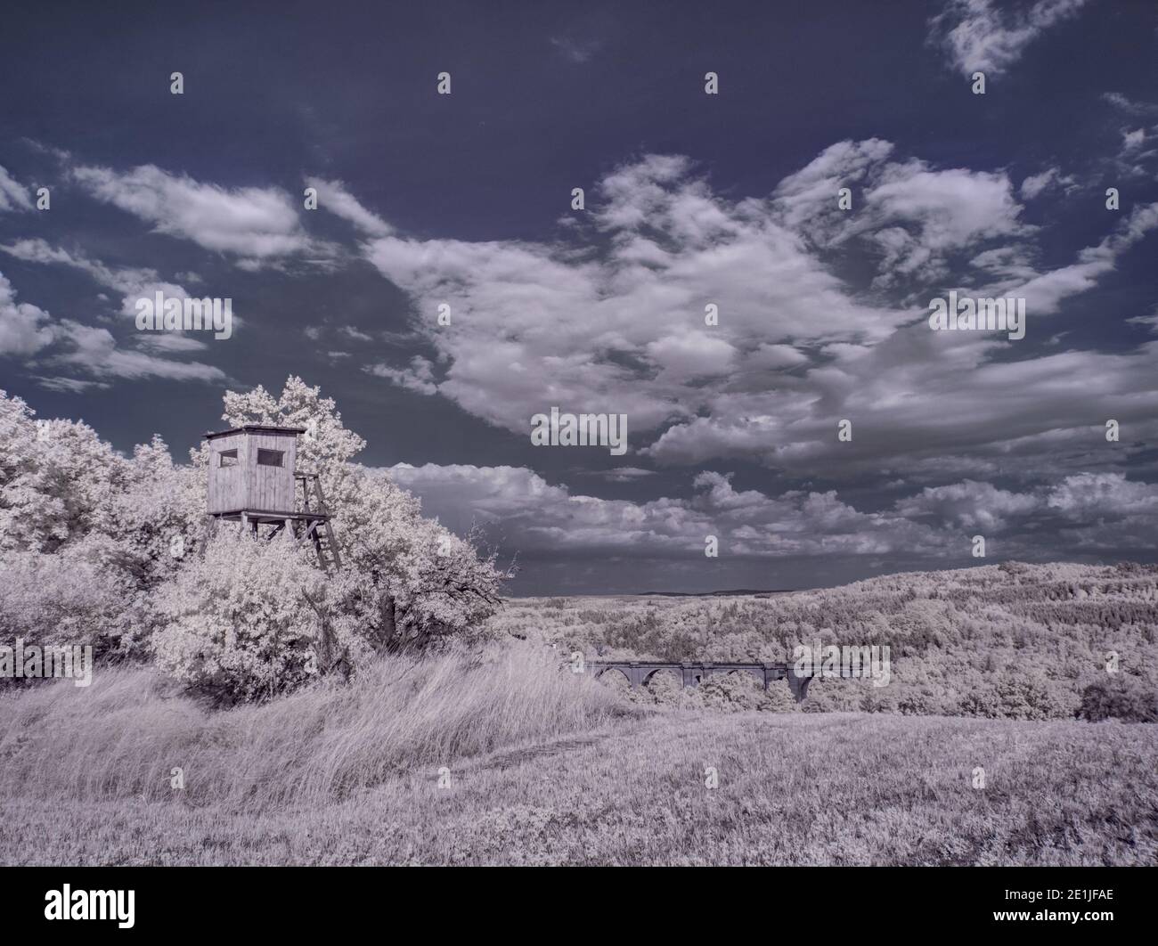 infrared photography - ir photo of landscape with tree under sky with ...