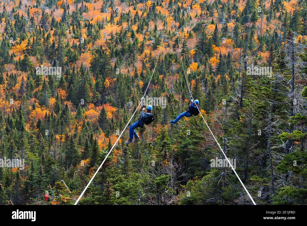 Long zip hi-res stock photography and images - Alamy