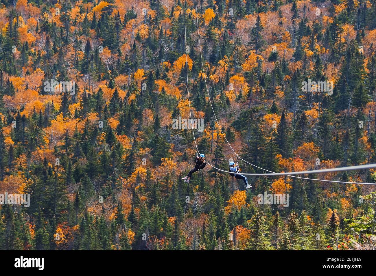 two people sliding down very long and fast zipline during autumn in ...