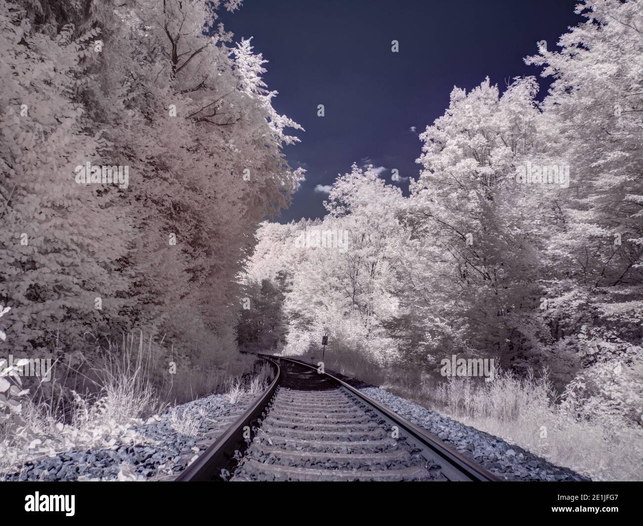 infrared photography - ir photo of landscape with tree under sky with ...