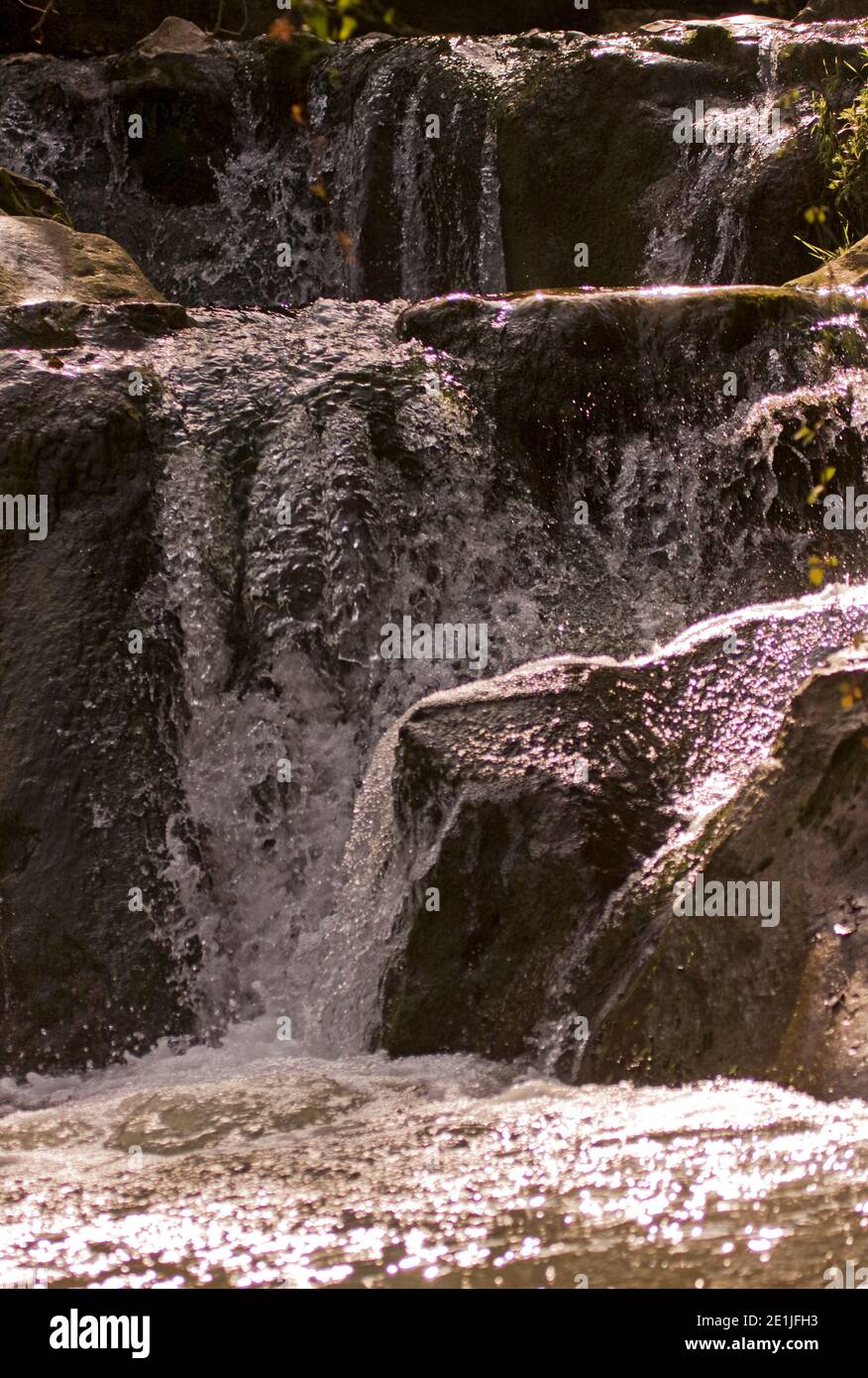 Mount Carmel forest Stock Photo - Alamy