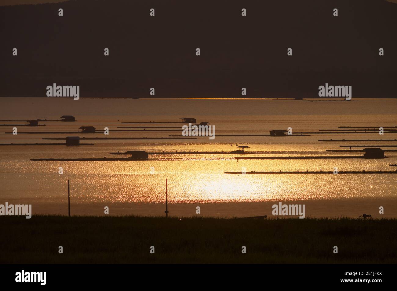 floating of wooden hut on water in dam Stock Photo - Alamy