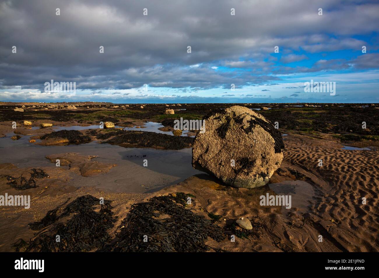 Rockpool High Resolution Stock Photography and Images - Alamy