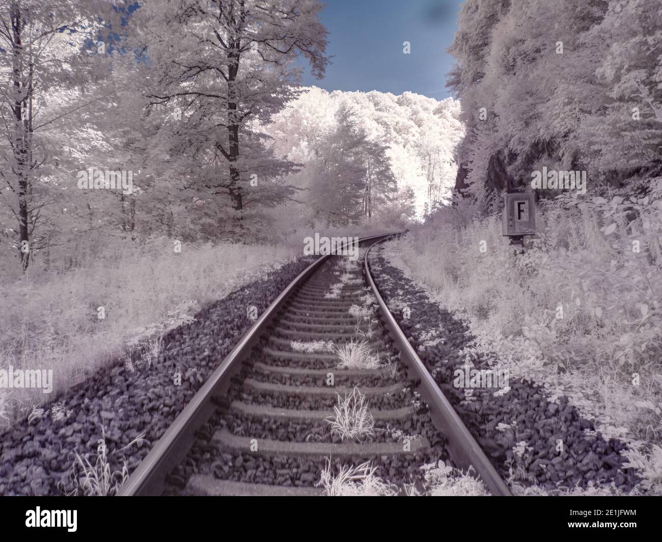infrared photography - ir photo of landscape with tree under sky with ...