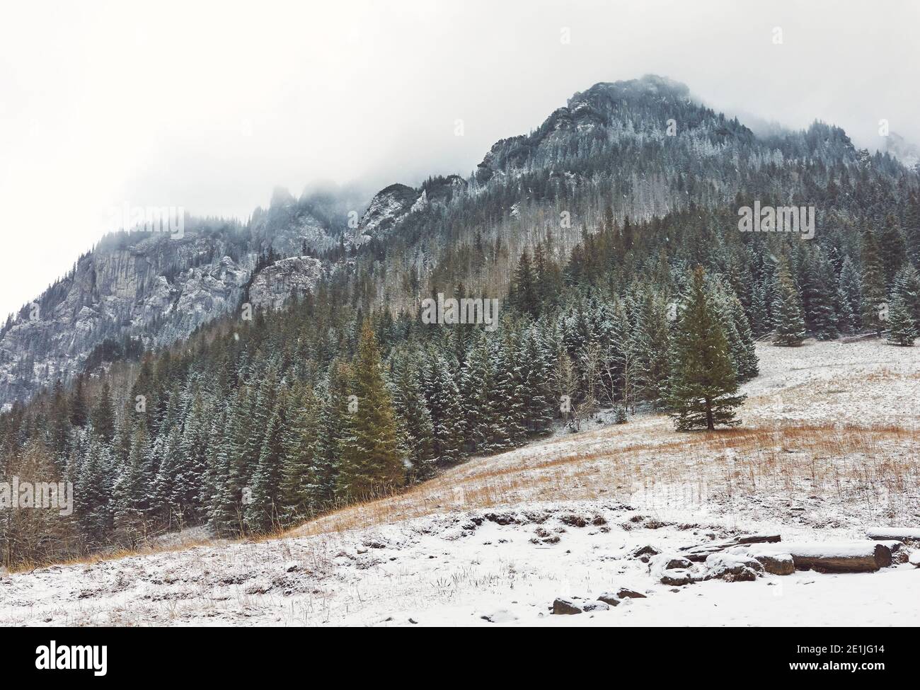Green nature snowy mountains hi-res stock photography and images - Alamy