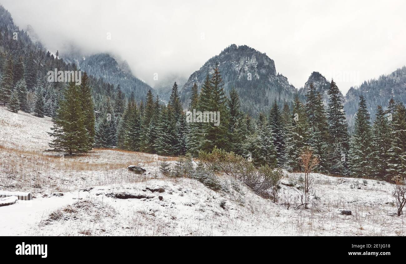 Landscape fog winter mountains hi-res stock photography and images - Alamy