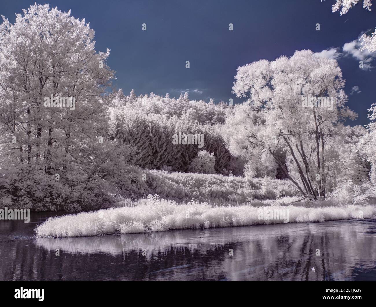 infrared photography - ir photo of landscape with tree under sky with ...