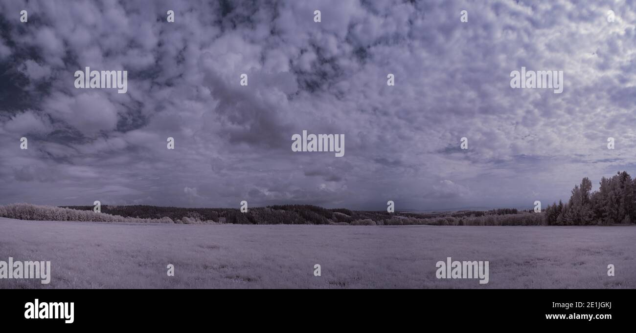 infrared photography - ir photo of landscape with tree under sky with ...