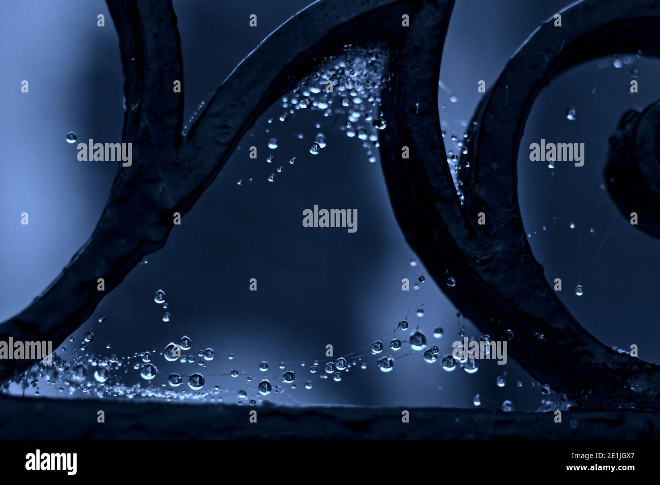 Microscopic water beads hi-res stock photography and images - Alamy