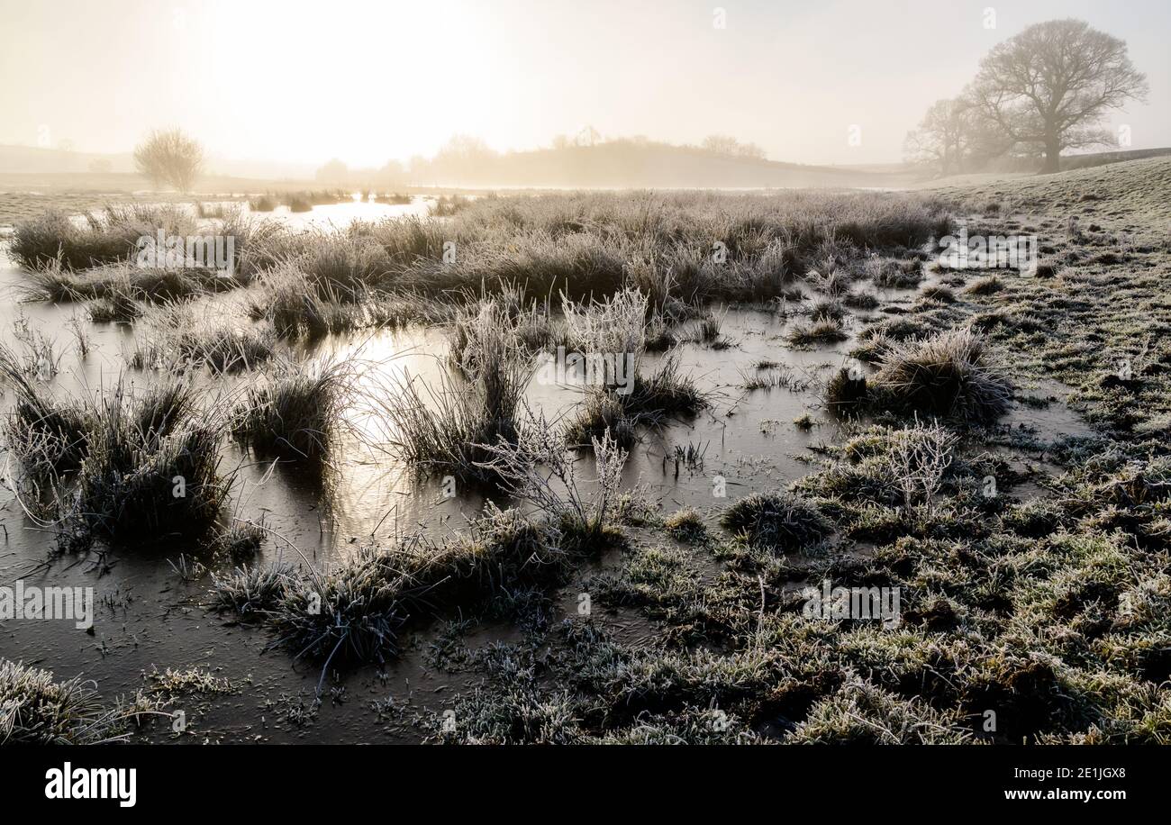 Cold and misty day - landscape Stock Photo - Alamy