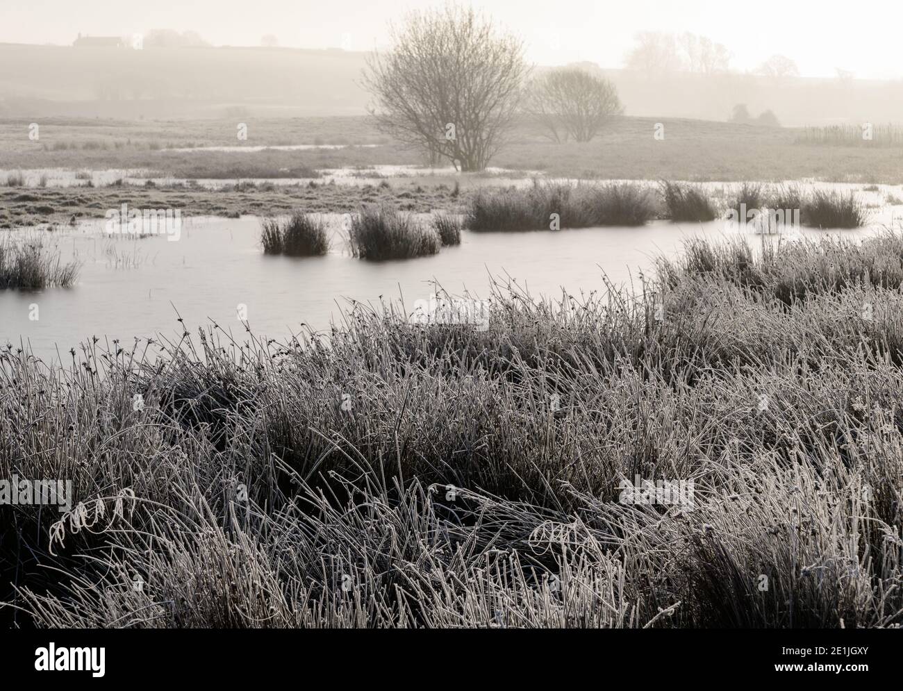 Cold and misty day - landscape Stock Photo - Alamy