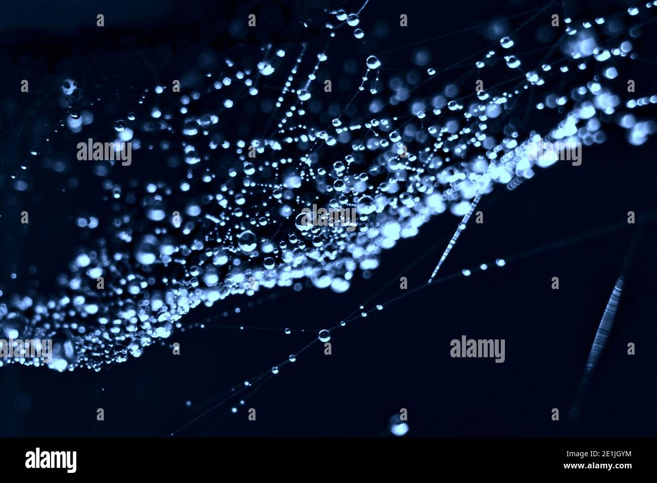 Cobweb High Resolution Stock Photography and Images - Alamy