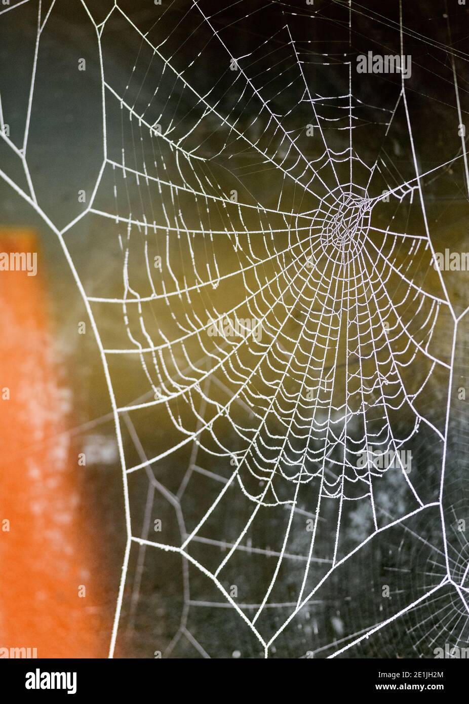 Cold and misty day Stock Photo - Alamy