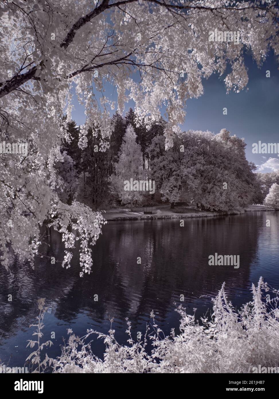 infrared photography - ir photo of landscape with tree under sky with ...