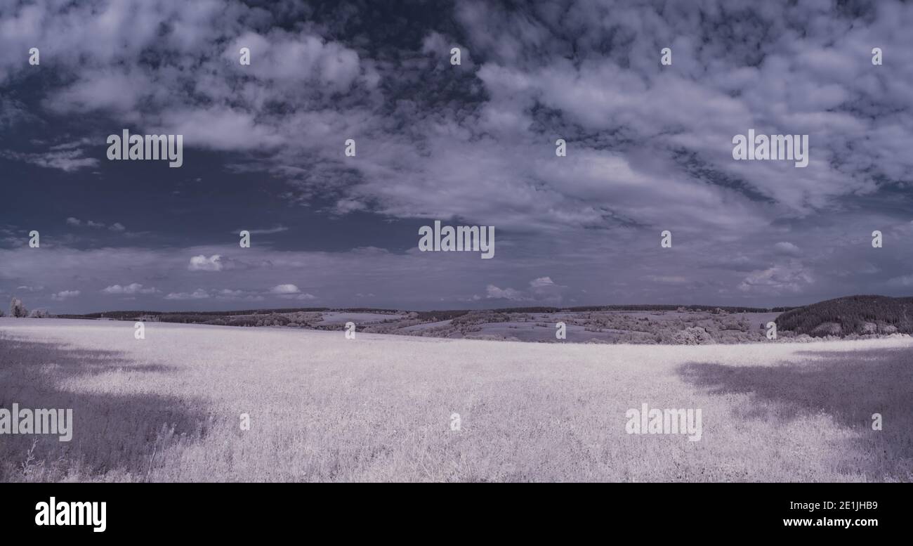 infrared photography - ir photo of landscape with tree under sky with ...