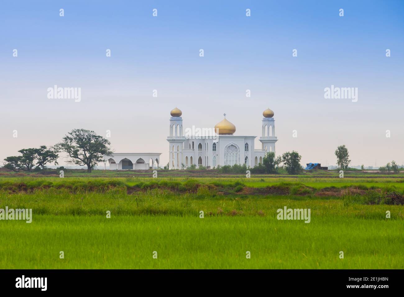 mosque state in front of green grass field Stock Photo - Alamy