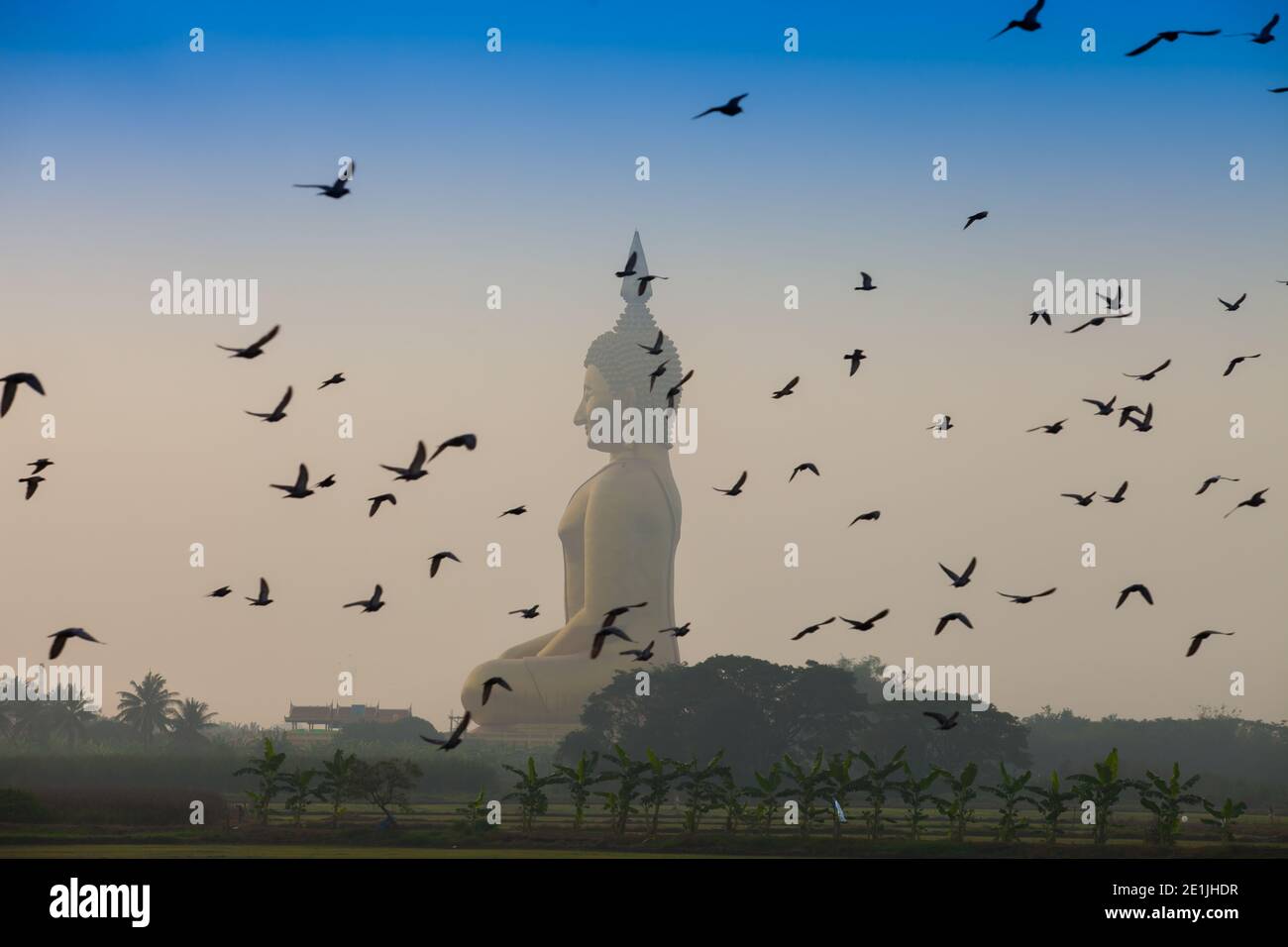 birds flying infront buddha Stock Photo - Alamy