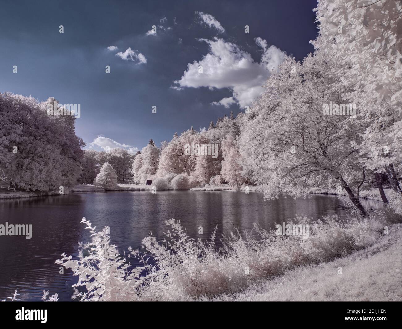 infrared photography - ir photo of landscape with tree under sky with ...