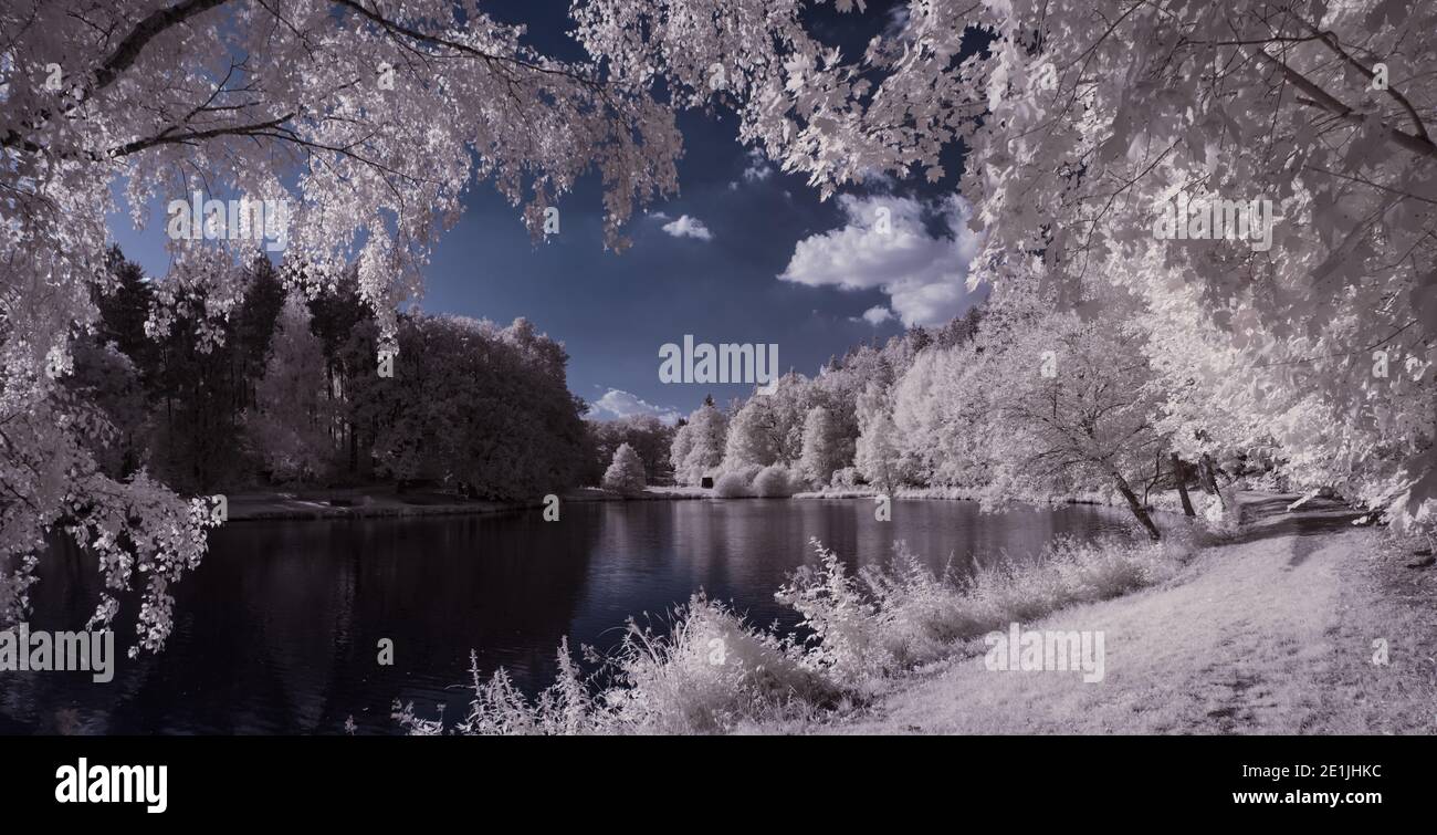 infrared photography - ir photo of landscape with tree under sky with ...